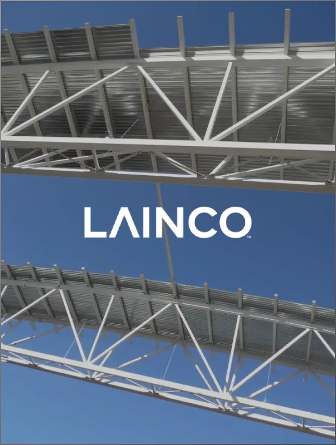 Redesigning the Lainco website: Innovative strategy and support